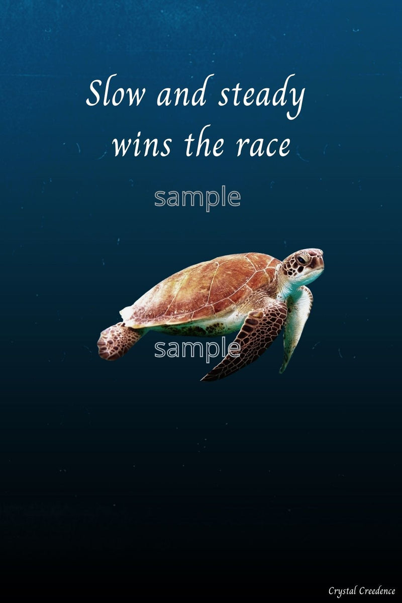 Inspirational quote-slow and steady – Crystal Creedence